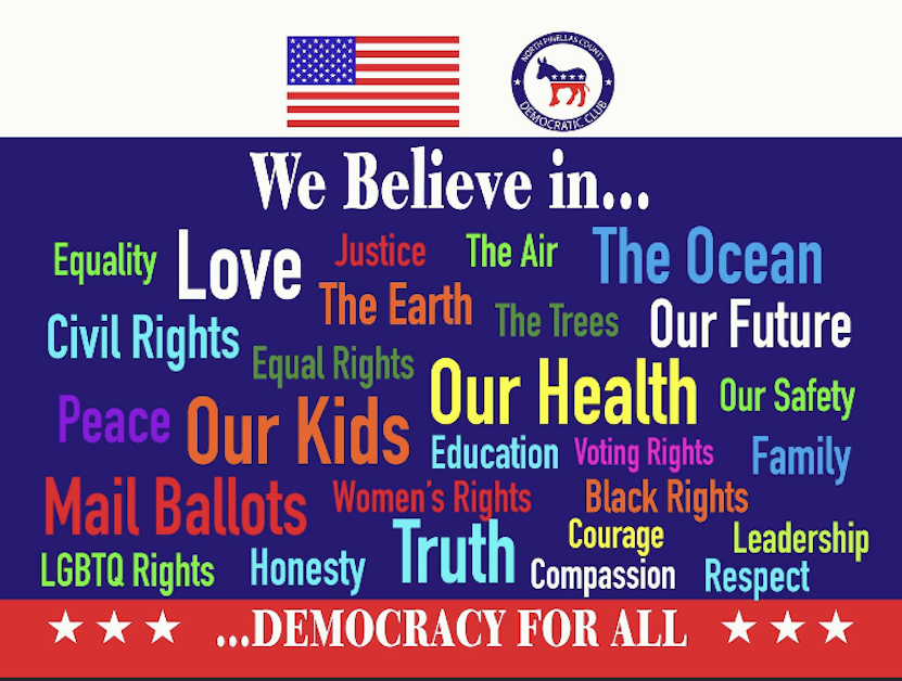 Write your elected officals about the GUN BILL · Pinellas County Democrats